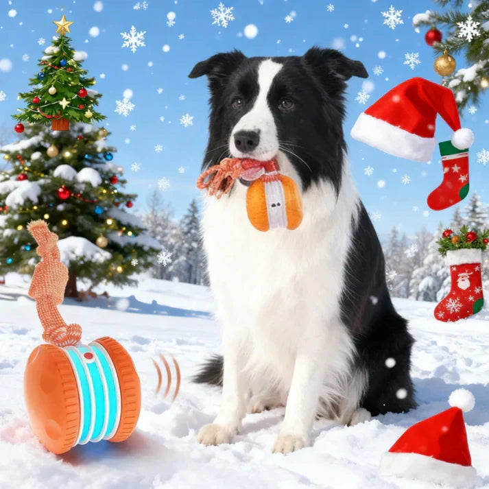 🐶busyball-interactive-dog-bal-Keep Your Pet Relaxed, Happy & Content f ...